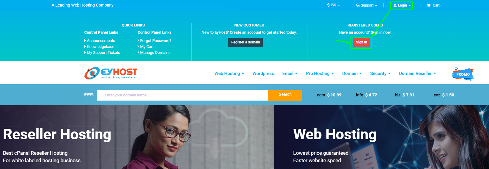 How to Access your Customer Portal Account with EyHost - EyHost Ltd Blog